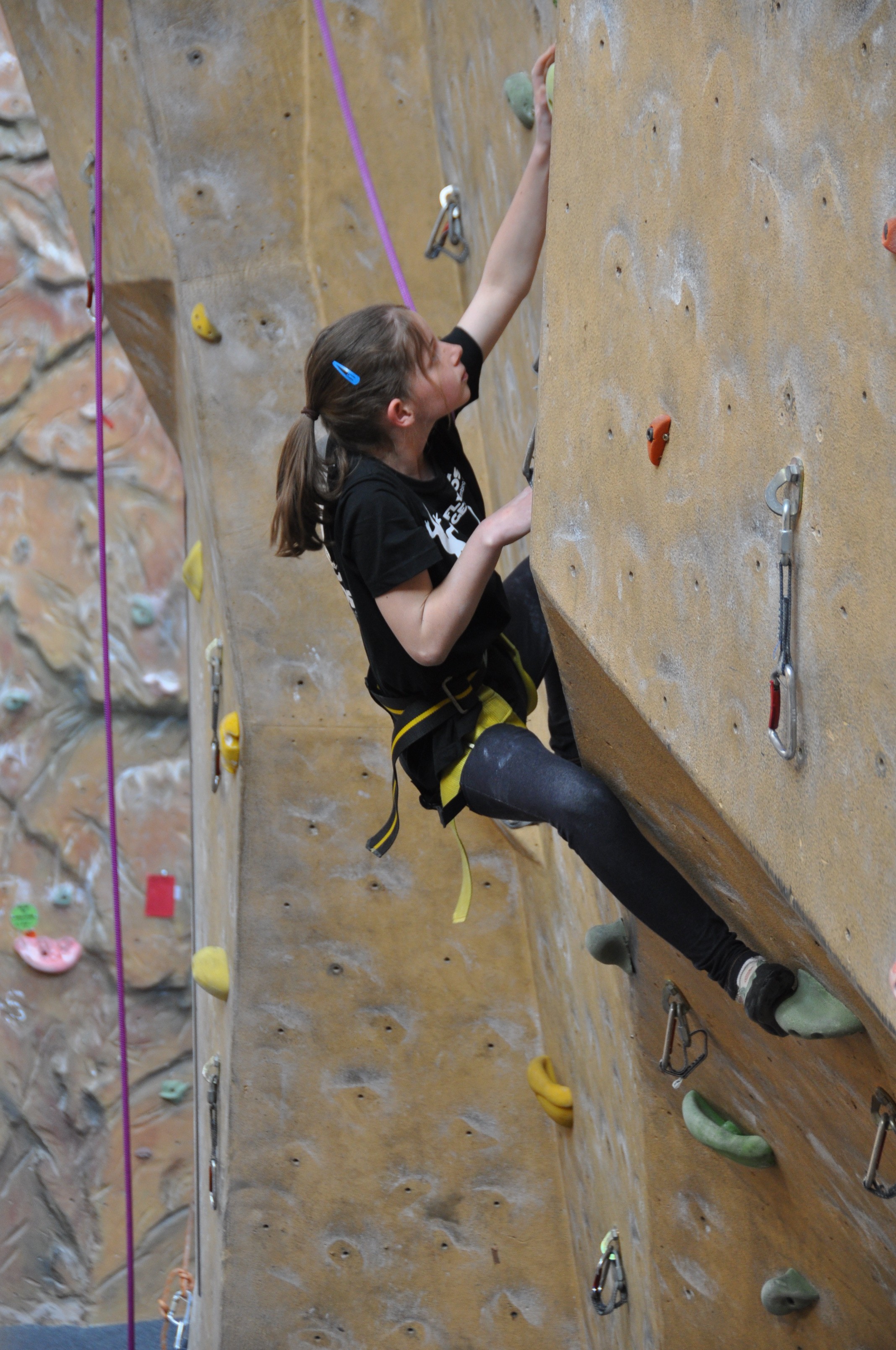 Competitions / Events – The Flying Geckos